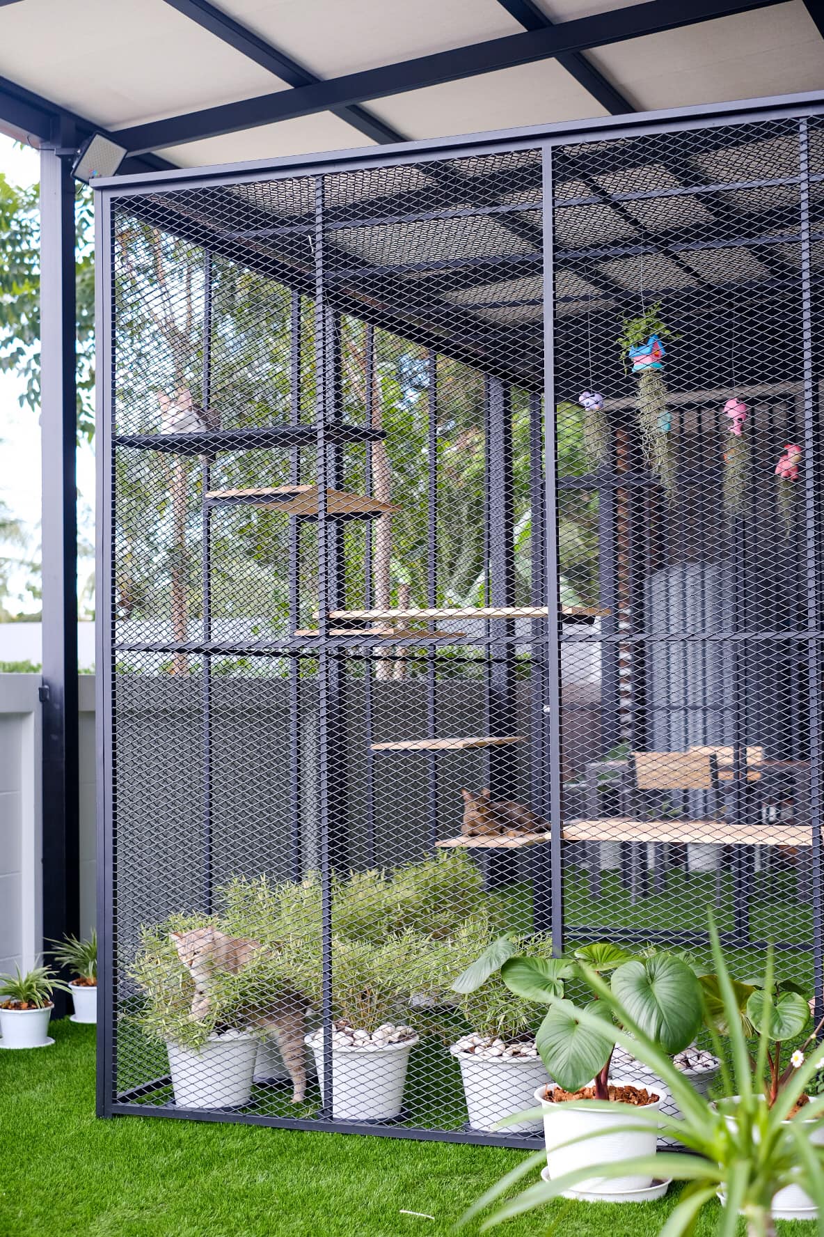 Page 24 – NaiBann.com