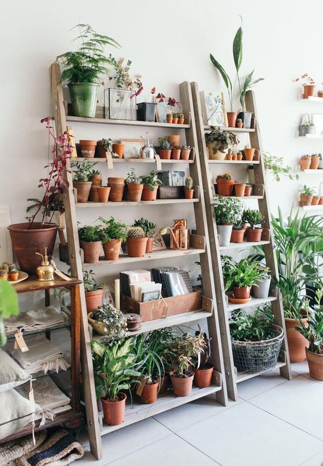 39 ไอเดีย “ชั้นวางของจากบันไดไม้” เฟอร์นิเจอร์ดีไซน์เก๋ พร้อมฟังก์ชันใช้งานอเนกประสงค์ – NaiBann ...