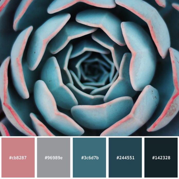 แนะนำ 40 โทนสี “Mood & Tone” สร้างความลงตัวให้กับงานดีไซน์อย่างมี ...