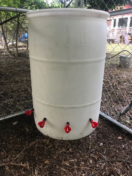 22 ไอเดีย DIY “ถังให้อาหารไก่” จากถังพลาสติกเหลือใช้ ทำเองง่ายๆ ช่วยประหยัดต้นทุน – NaiBann – ใน ...