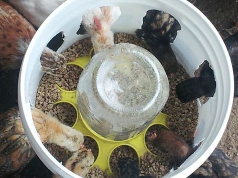 22 ไอเดีย DIY “ถังให้อาหารไก่” จากถังพลาสติกเหลือใช้ ทำเองง่ายๆ ช่วยประหยัดต้นทุน – NaiBann – ใน ...