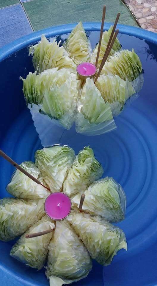 11 ไอเดีย DIY “กระทงรักษ์โลก” ต้อนรับวันแห่งความมงคล ด้วยกระทงจากวัสดุธรรมชาติ ลดปัญหาขยะใน ...