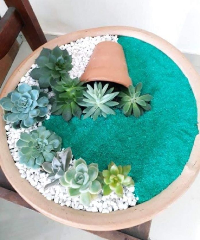 15 ไอเดีย DIY “สวนแคคตัสจิ๋ว” ของแต่งบ้านสุดน่ารัก สร้างสรรค์ไม่ซ้ำใคร – NaiBann – ในบ้าน | คอนเ ...