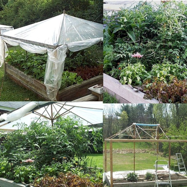 45 ไอเดีย “แปลงผักสวนครัว” ไว้ปลูกเองหลังบ้าน แบบฉบับ DIY ทำเองได้ไม่ยาก – NaiBann – ในบ้าน ...