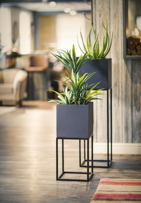 34 ไอเดีย “กระถางต้นไม้” วางได้ทุกมุม ช่วยคืนบรรยากาศที่สดชื่นให้พื้นที่ภายในบ้าน – NaiBann – ใน ...