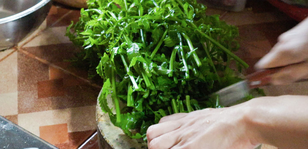 “ยำผักกูดน้ำพริกเผากุ้งสด” เมนูผัดสดจากสวนคุณแม่ อร่อยและได้สุขภาพดี ...