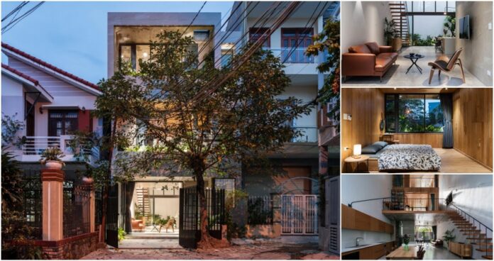 Bin & Bon House ทาวน์เฮ้าส์โมเดิร์นลอฟท์ สวยดิบด้วยปูนเปลือย พร้อม ...