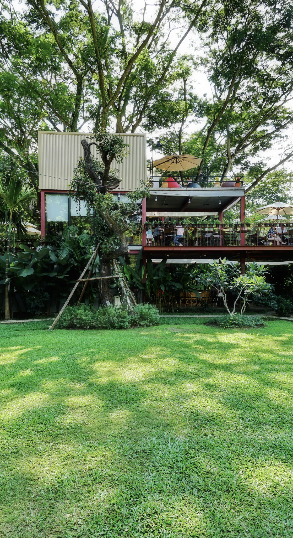 Chamcha Cafe คาเฟ่กลางป่าสไตล์อินดัสเทรียล บนอาคารเหล็กที่สร้างขึ้นล้อมต้นฉำฉา – NaiBann – ใน ...