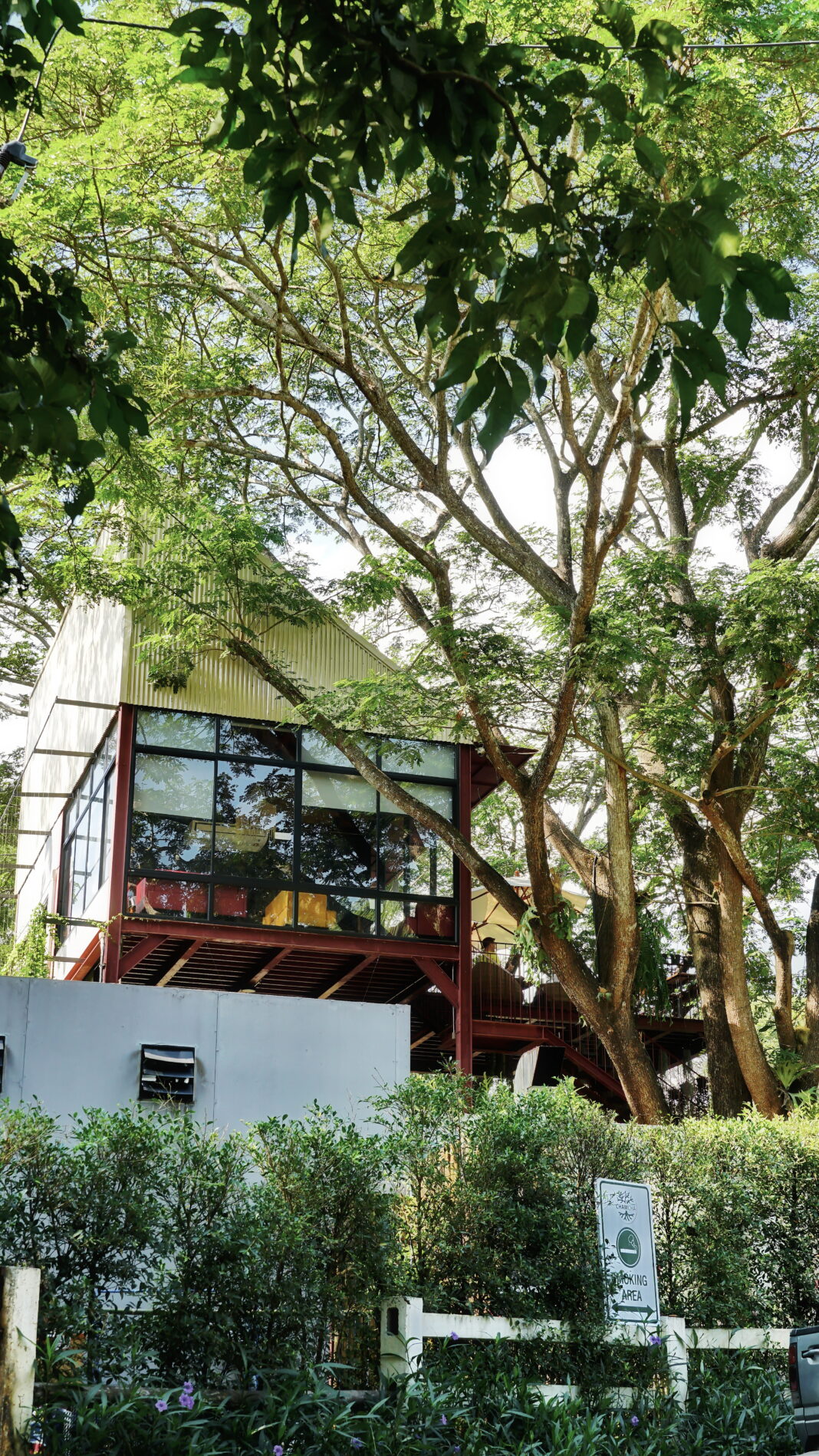 Chamcha Cafe คาเฟ่กลางป่าสไตล์อินดัสเทรียล บนอาคารเหล็กที่สร้างขึ้นล้อมต้นฉำฉา – NaiBann – ใน ...