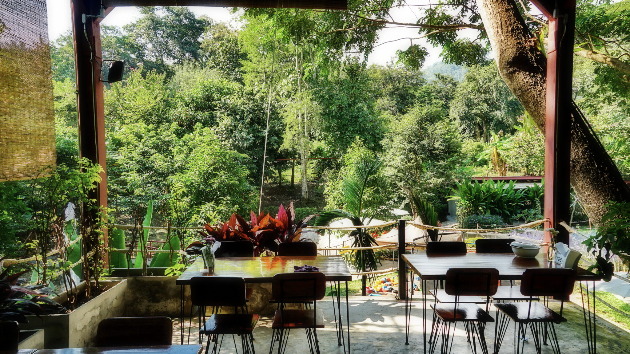 Chamcha Cafe คาเฟ่กลางป่าสไตล์อินดัสเทรียล บนอาคารเหล็กที่สร้างขึ้นล้อมต้นฉำฉา – NaiBann – ใน ...
