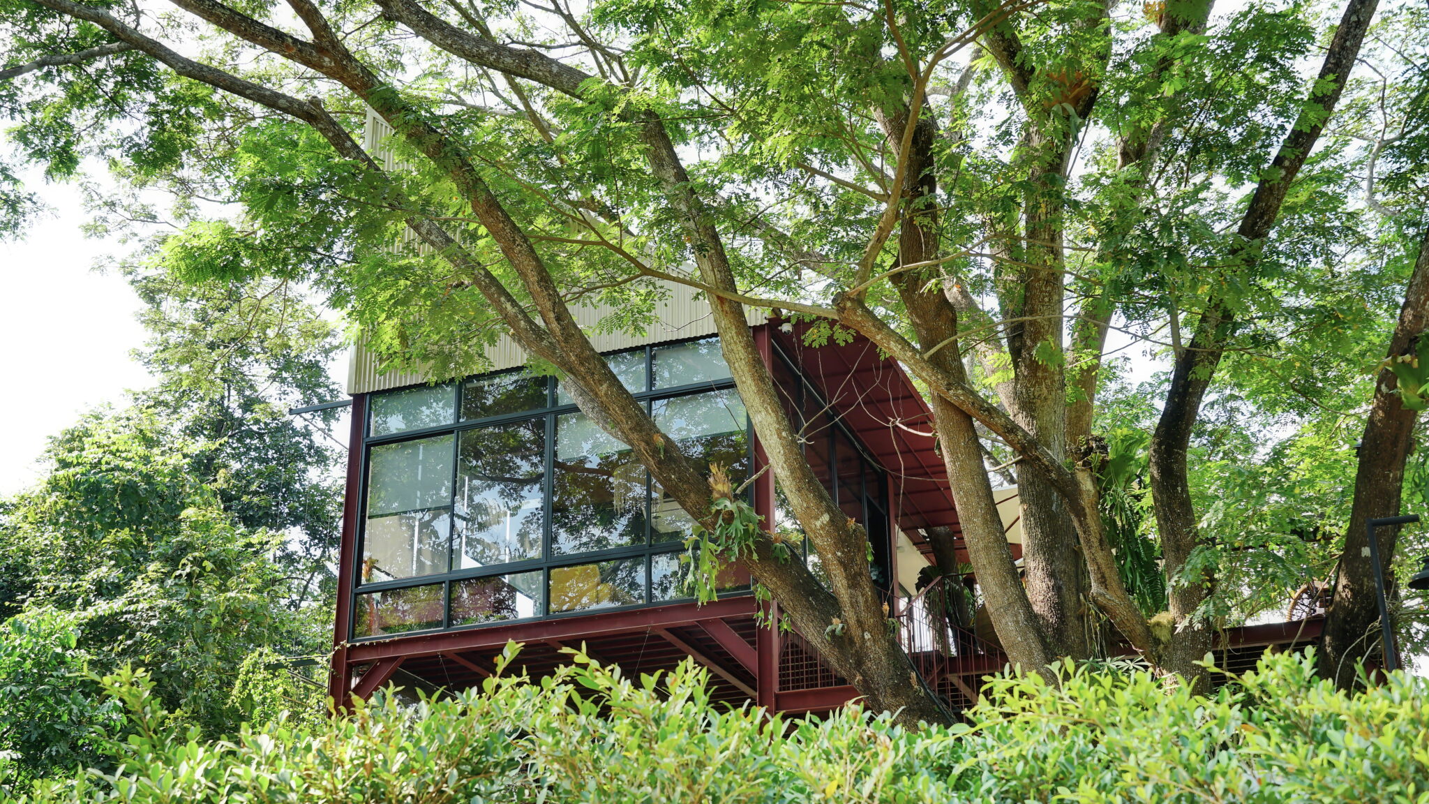 Chamcha Cafe คาเฟ่กลางป่าสไตล์อินดัสเทรียล บนอาคารเหล็กที่สร้างขึ้นล้อมต้นฉำฉา – NaiBann – ใน ...