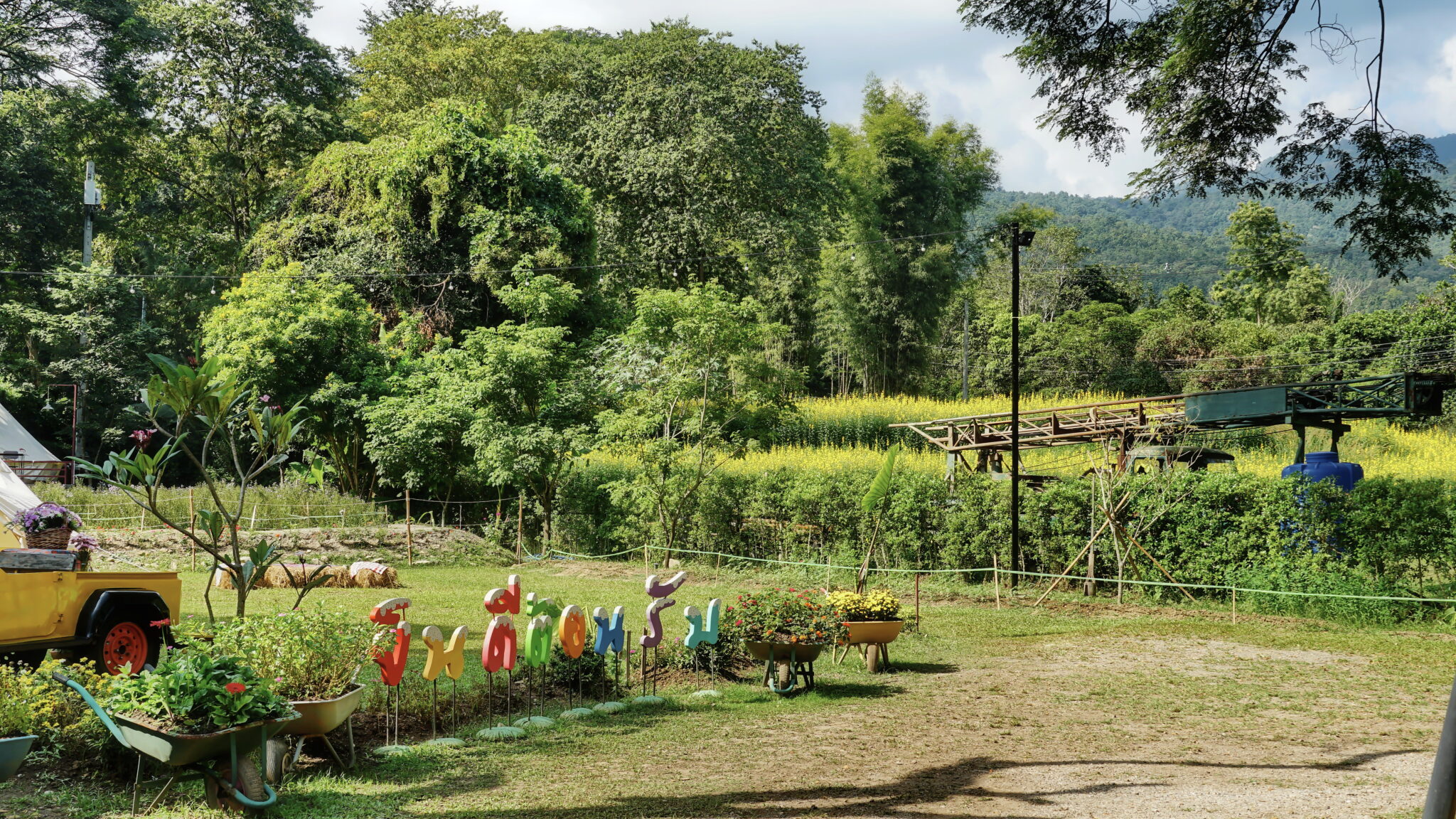 Chamcha Cafe คาเฟ่กลางป่าสไตล์อินดัสเทรียล บนอาคารเหล็กที่สร้างขึ้นล้อมต้นฉำฉา – NaiBann – ใน ...