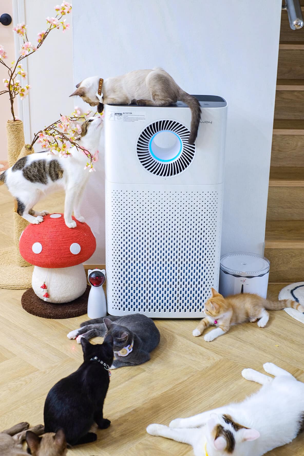 Page 24 – NaiBann.com